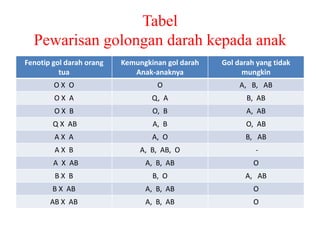 GOLONGAN DARAH MANUSIA DIKELOMPOKKAN MENJADI GOLONGAN DARAH A, B, DAN ...