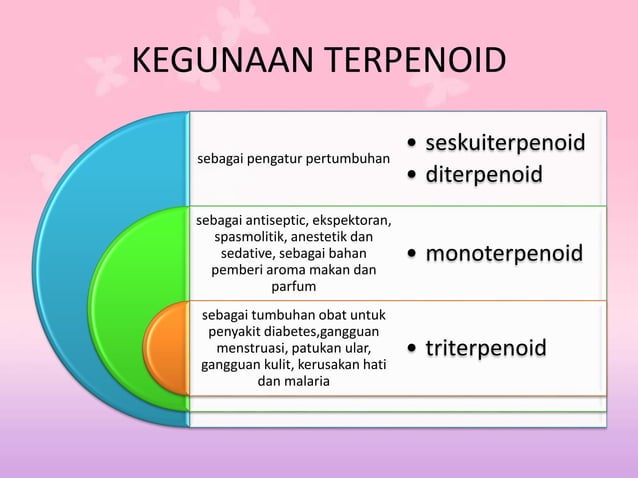 GOLONGAN TERPENOID_LBM III_2.pdf