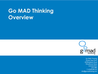 Go Mad Overview (Ip)8 | PPT