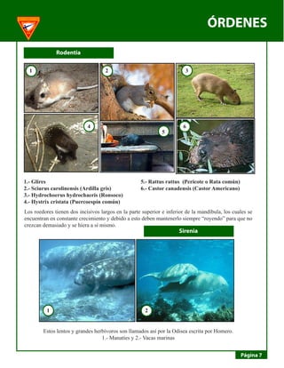 Estudios de la Naturaleza | PDF