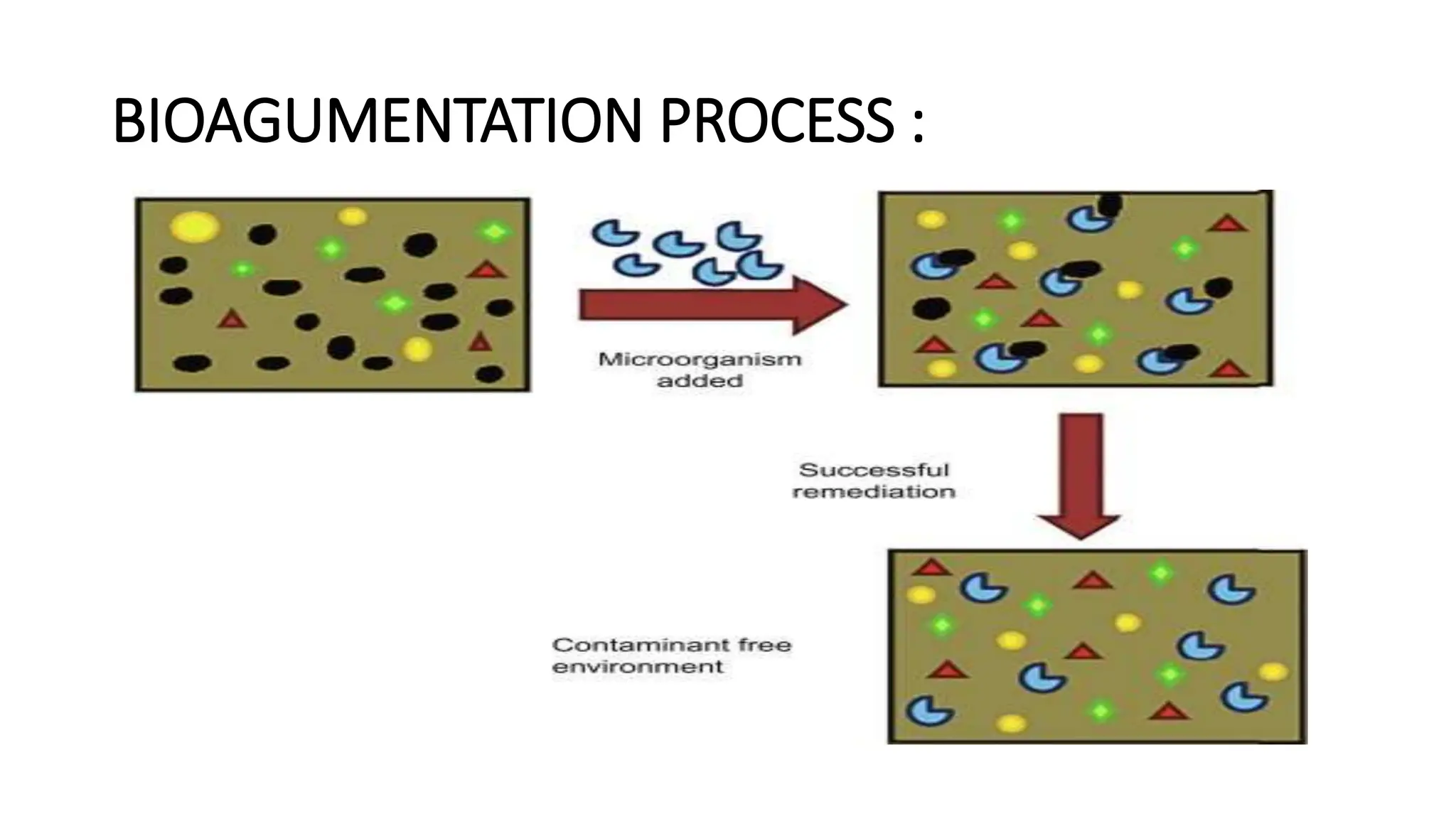 Bioremediation -Bioaugmentation and types .pptx | Medical Health