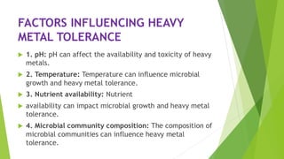 Heavy metal tolerance in microbes....... | PDF