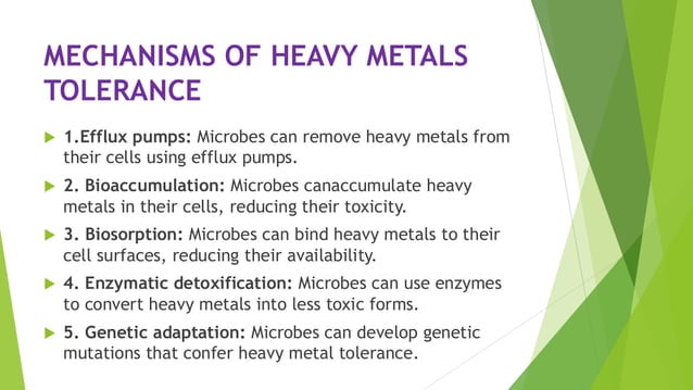 Heavy metal tolerance in microbes....... | PDF