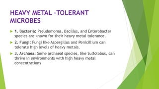Heavy metal tolerance in microbes....... | PDF