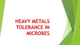 Heavy metals tolerance in microbes - environmental microbiology | PPT