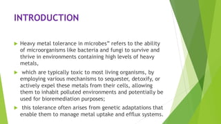 Heavy metals tolerance in microbes - environmental microbiology | PPT