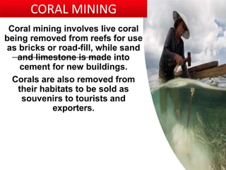 Gom coral diversity threats and conservation management copy | PPT
