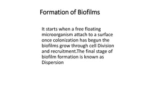 Formation Structure and Internal Functions of Microbial mats And Biofilms | PPTX