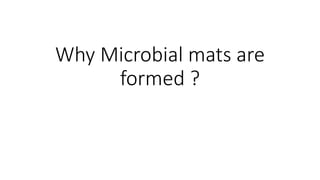 Formation Structure and Internal Functions of Microbial mats And Biofilms | PPTX