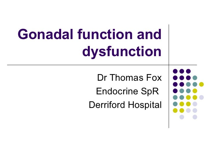 Gonads Definition Function Video Lesson Transcript