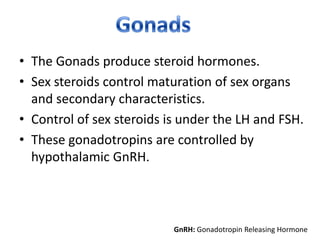 Gonadal function | PPTX