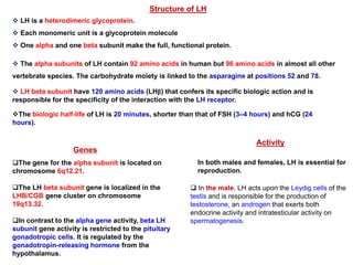 Gonadal hormone | PDF