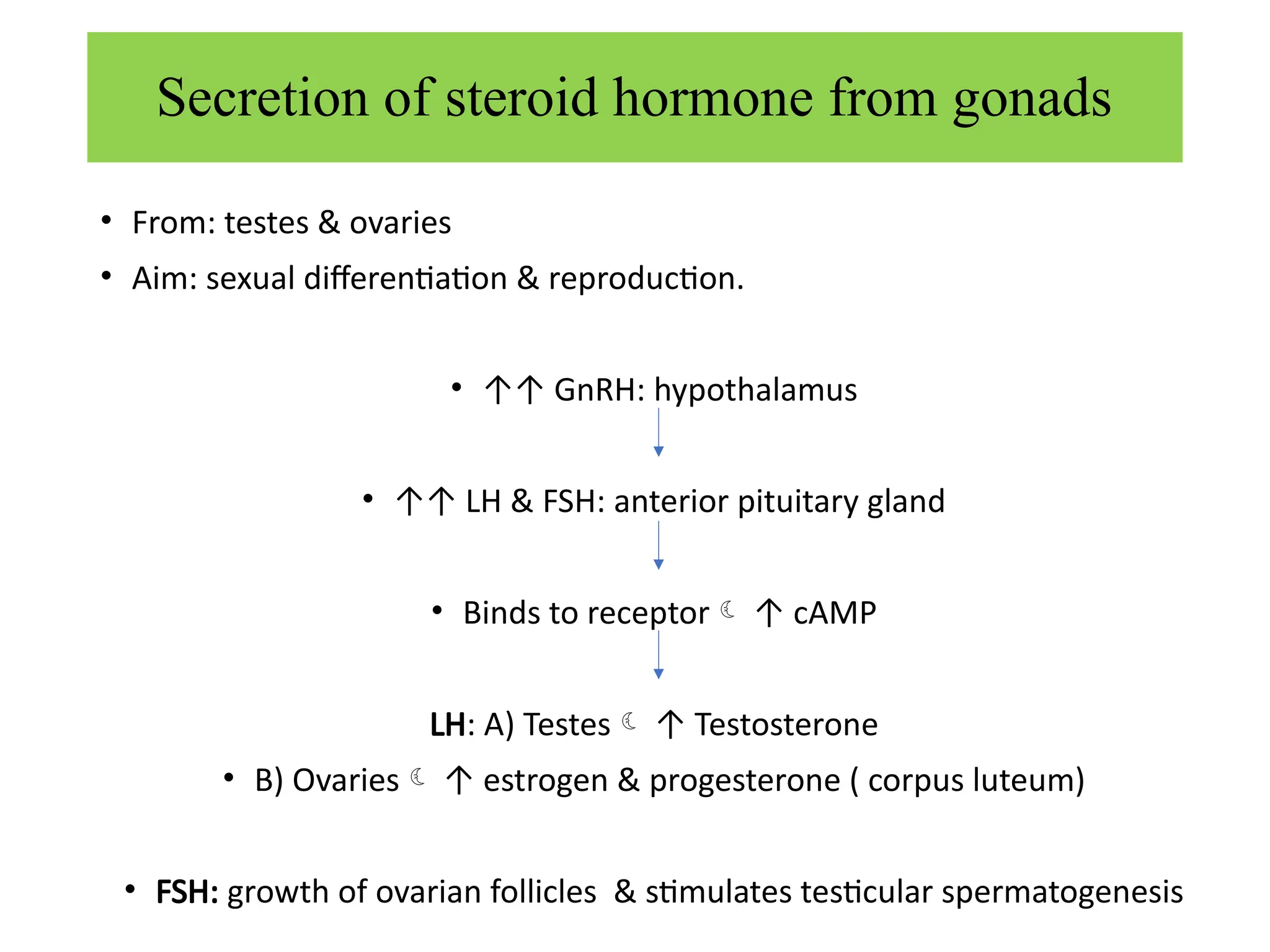 gonadal hormone - functions and disorders .pptx