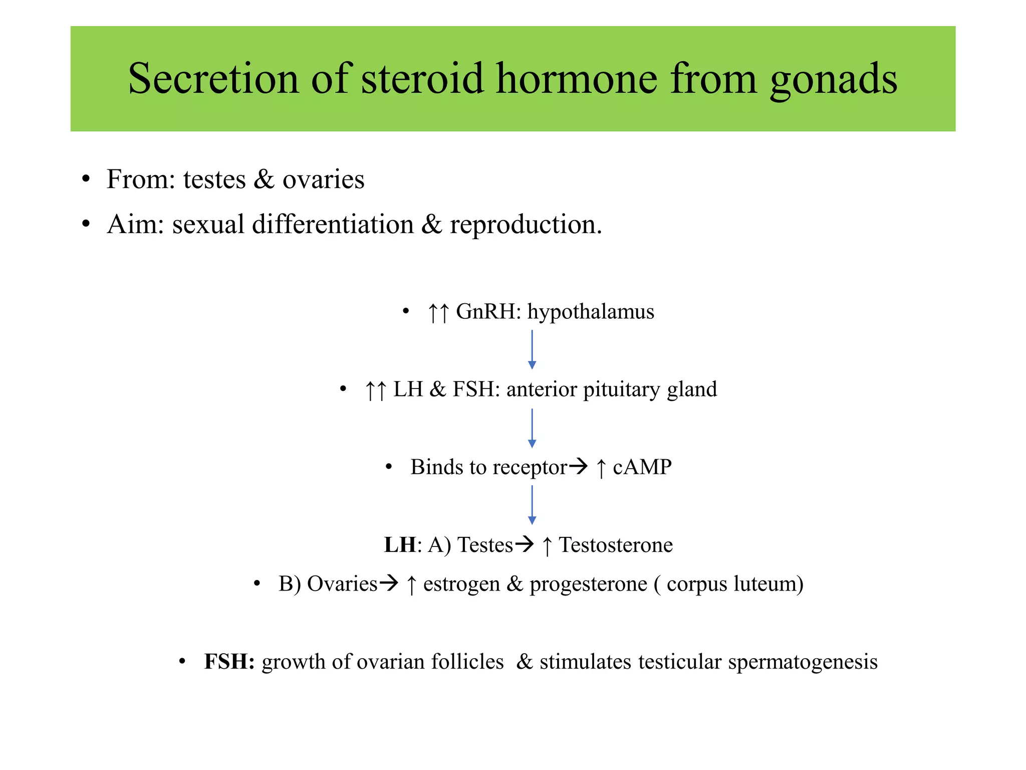 Gonadal hormone | PPTX