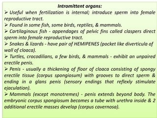 Gonadal system | PPTX