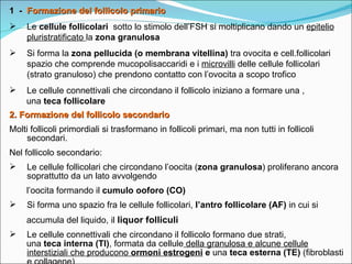 Gonadi femminili: Le ovaie | PPT