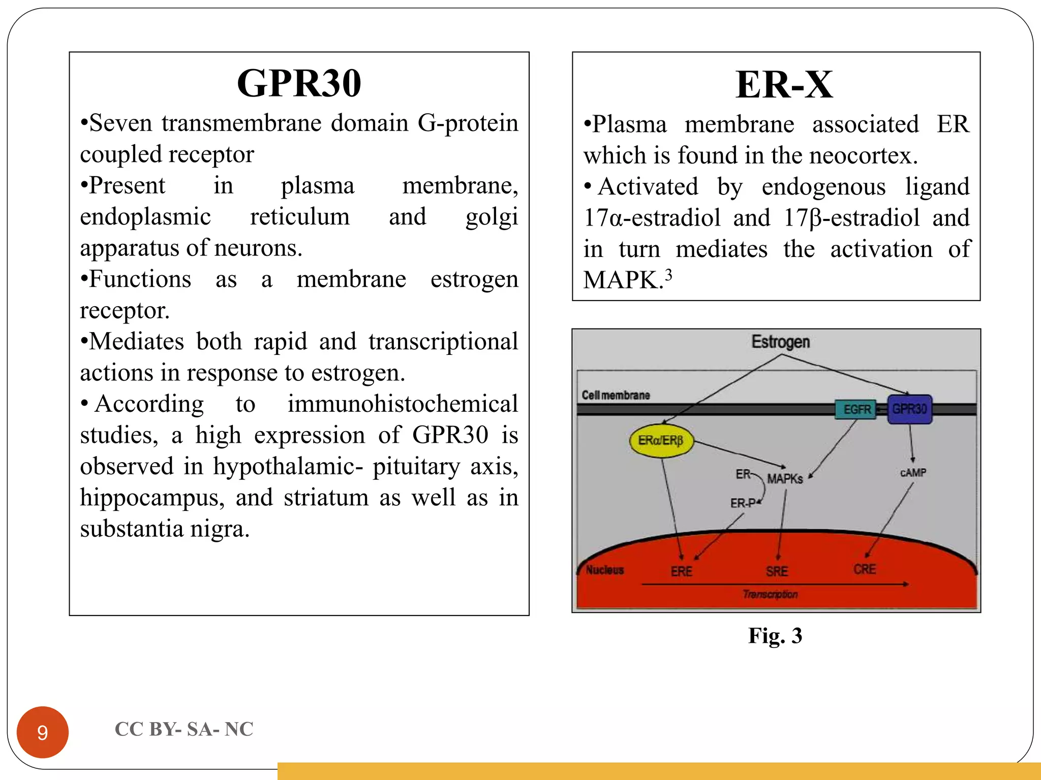 gonadocorticoids: a potential treatment for parkinson's disease | PPT ...