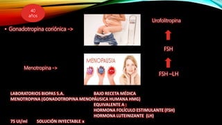Gonadotropina FSH -UH- HCG | PPTX