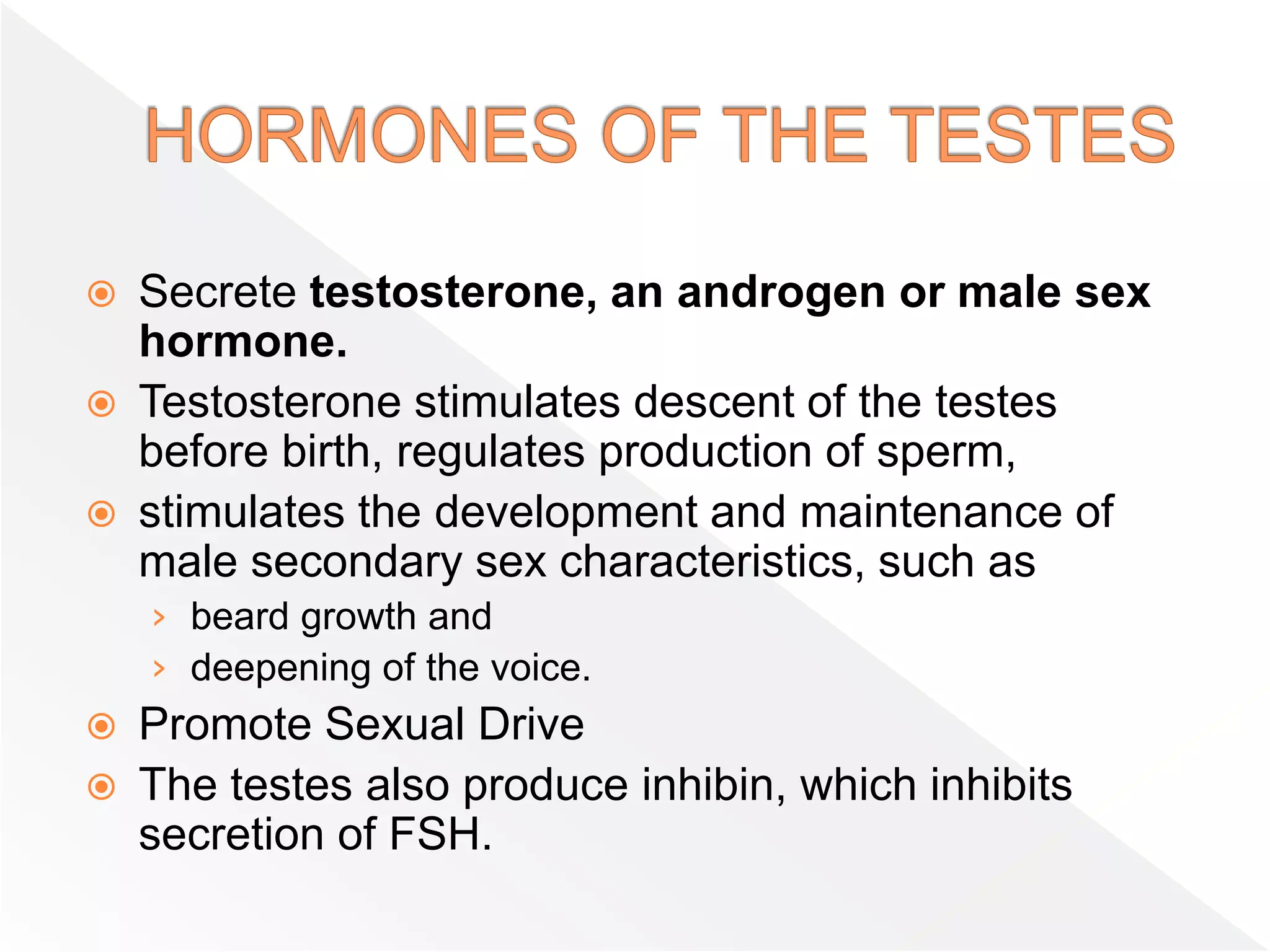 Gonads- Secretion, Function and Regulation | PPT