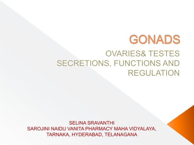 Gonads- Secretion, Function and Regulation | PPT