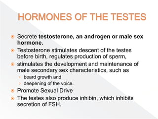 Gonads- Secretion, Function and Regulation | PPT