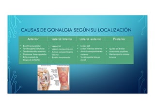 Gonalgia cs | PPT