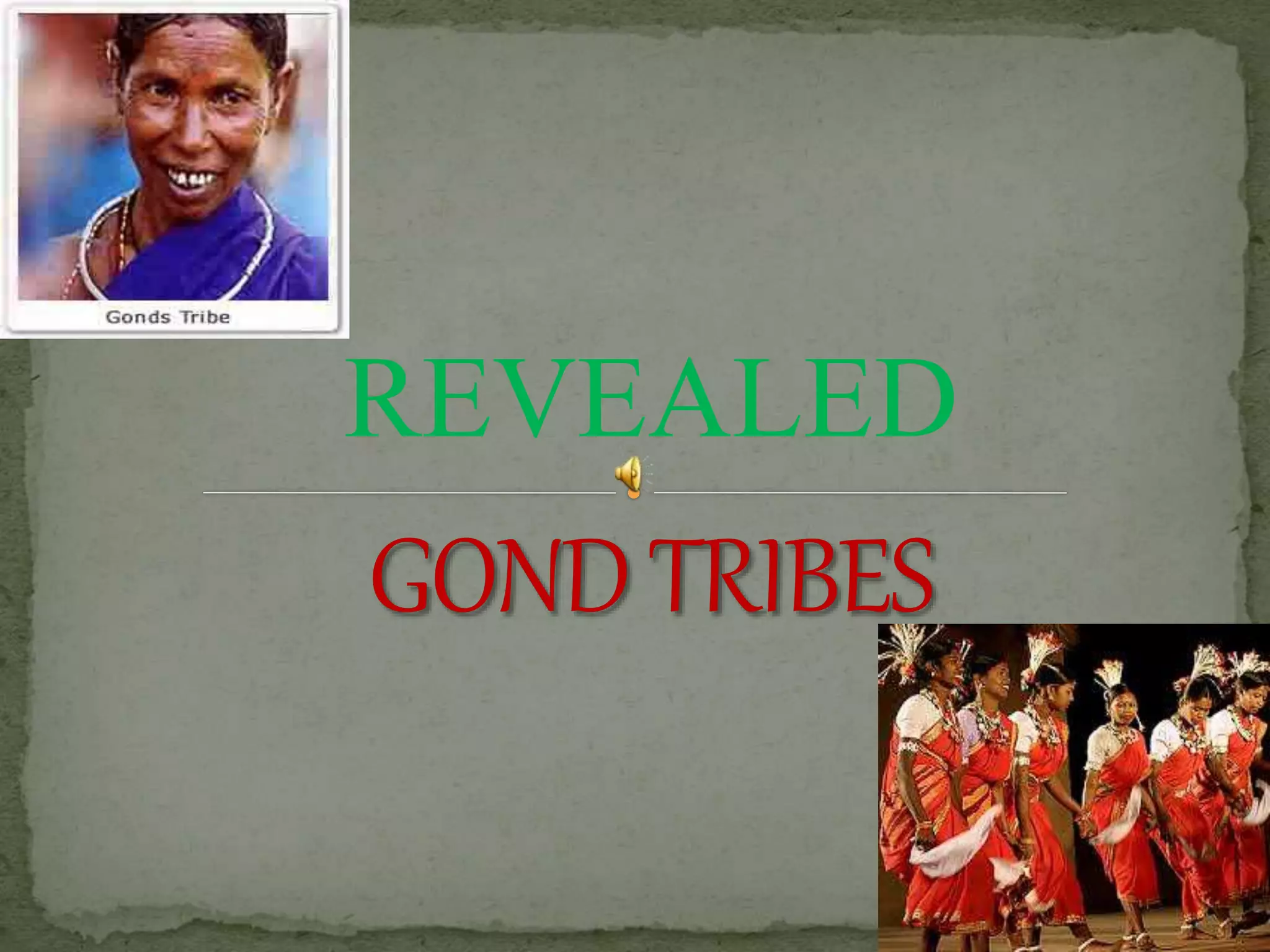 The Gonds Tribe | PPTX