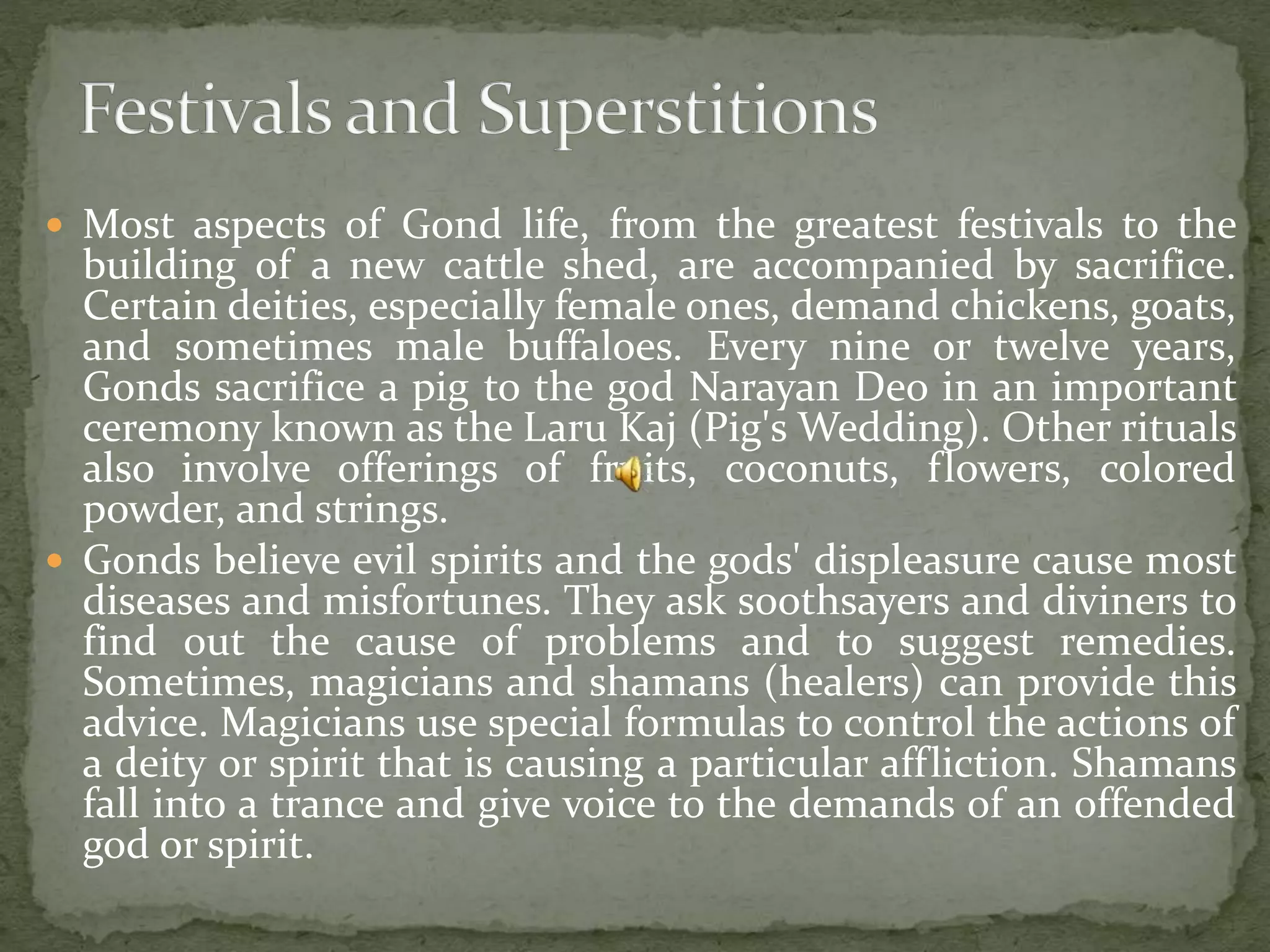 The Gonds Tribe | PPTX