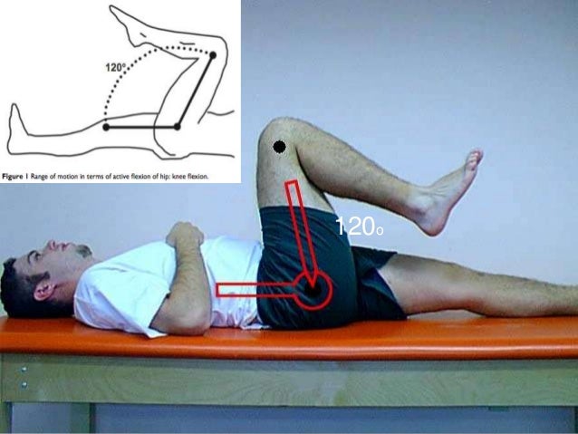 Hip Flexion Contracture Definition Sharon Karam Faculty Of Health