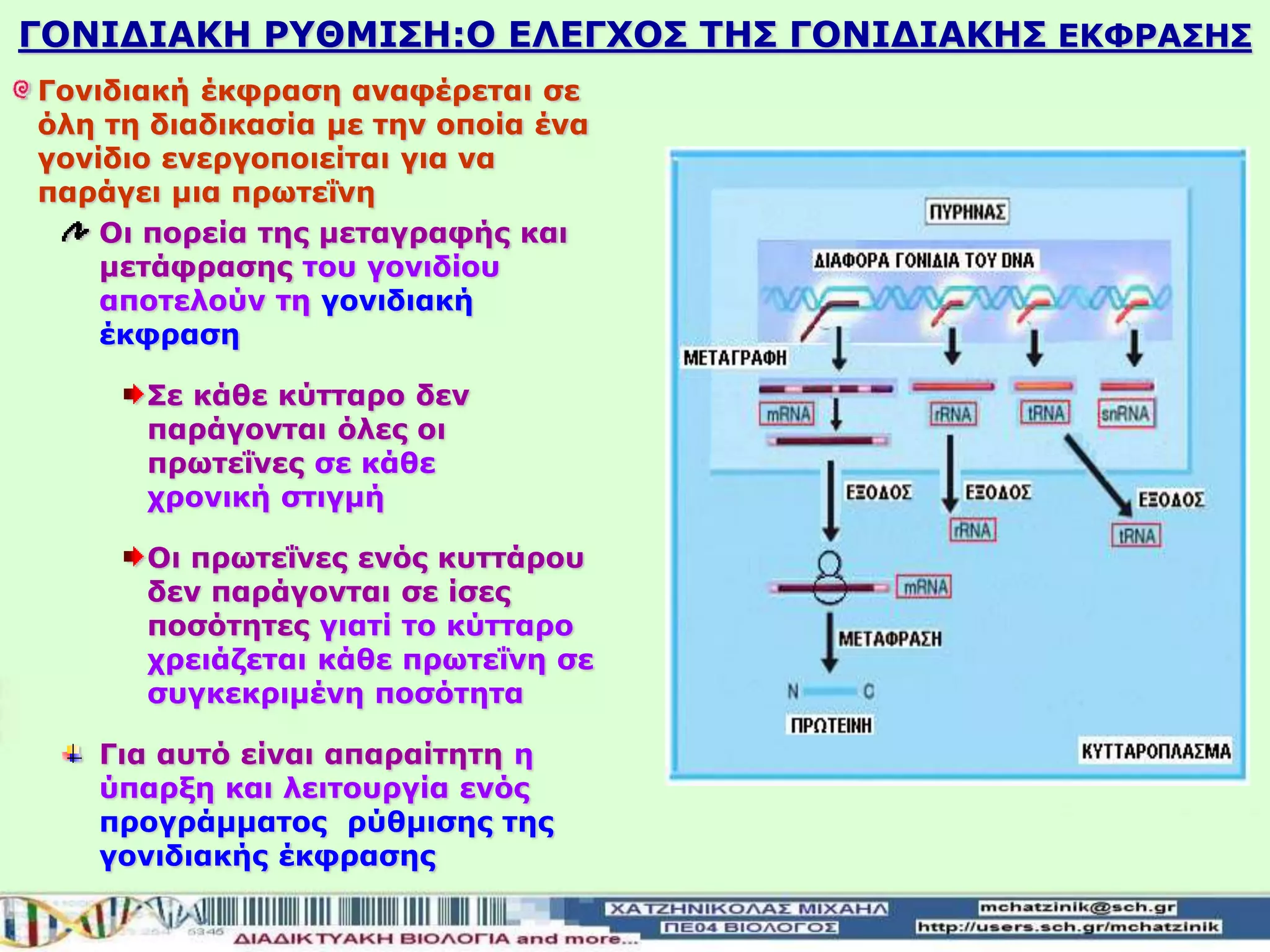 Gonidiaki ritmisi | PPT