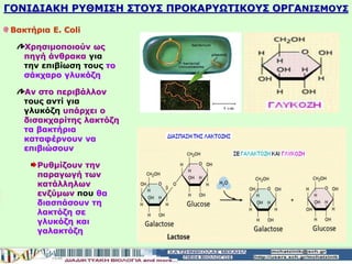 Gonidiaki ritmisi | PPTX