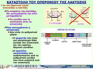 Gonidiaki ritmisi | PPTX