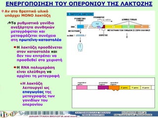 Gonidiaki ritmisi | PPTX