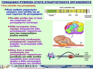 Gonidiaki ritmisi | PPTX