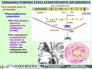 Gonidiaki ritmisi | PPTX