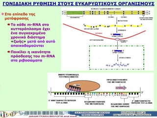 Gonidiaki ritmisi | PPTX