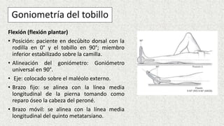 Goniometría.pptx