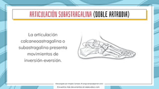 goniometria-mieMBROS INFERIORES Y SUPERIORES | PDF