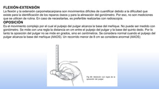 Goniometria de Miembros Superiores.pptx