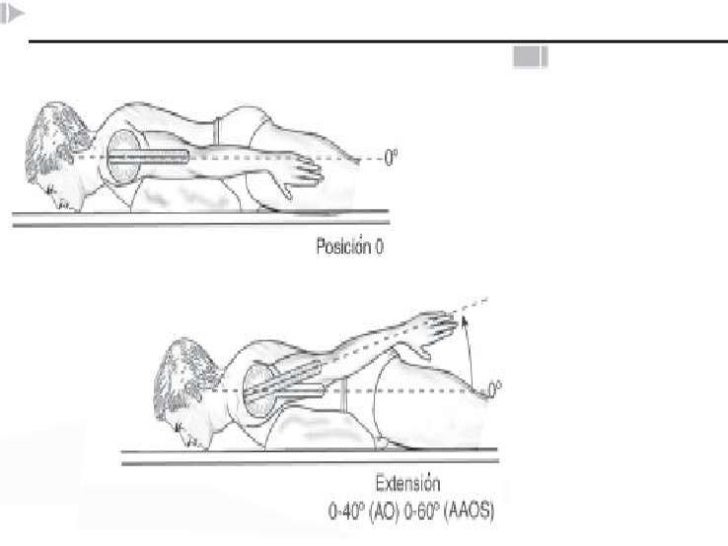 Flexion Y Extension De Hombro