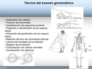 Goniometria, Miembro Superior | PPT