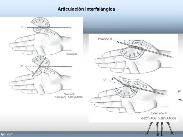 Goniometria, Miembro Superior