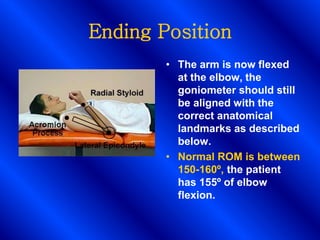 Elbow Flexion Goniometry