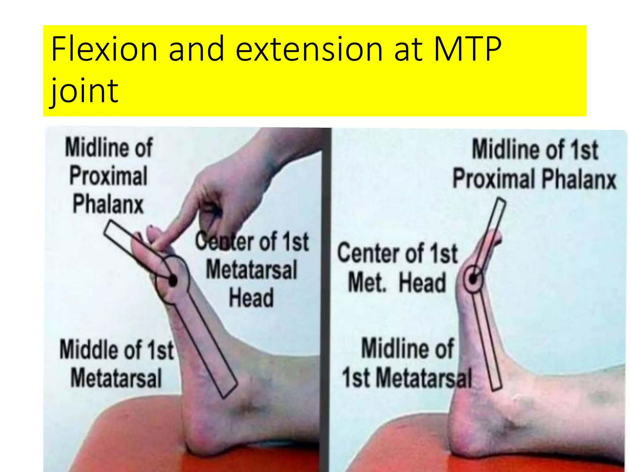 Goniometry of lower limb joints/ROM of lower limb joints | PPTX