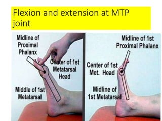 Goniometry of lower limb joints/ROM of lower limb joints | PPTX