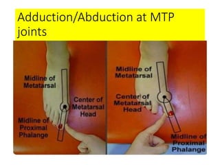 Goniometry of lower limb joints/ROM of lower limb joints | PPTX