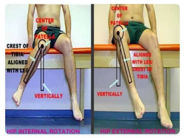 Goniometry of lower limb joints/ROM of lower limb joints