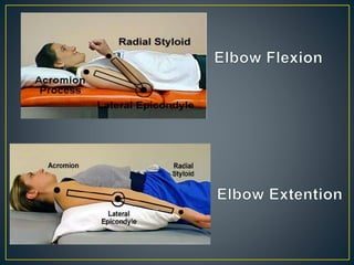 Elbow Flexion Goniometry