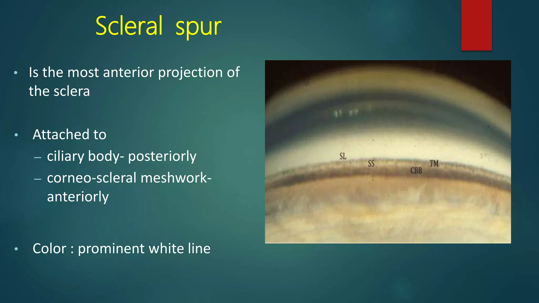 Gonioscopy | PPTX