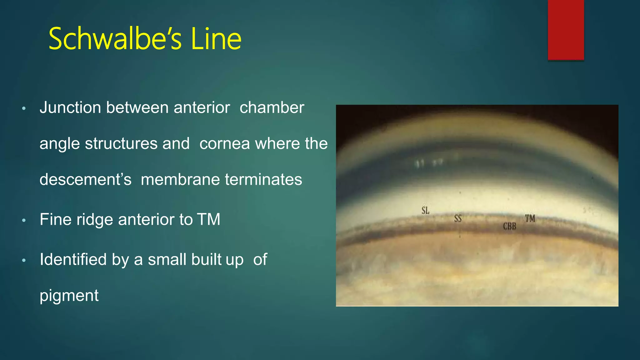 Gonioscopy | PPTX